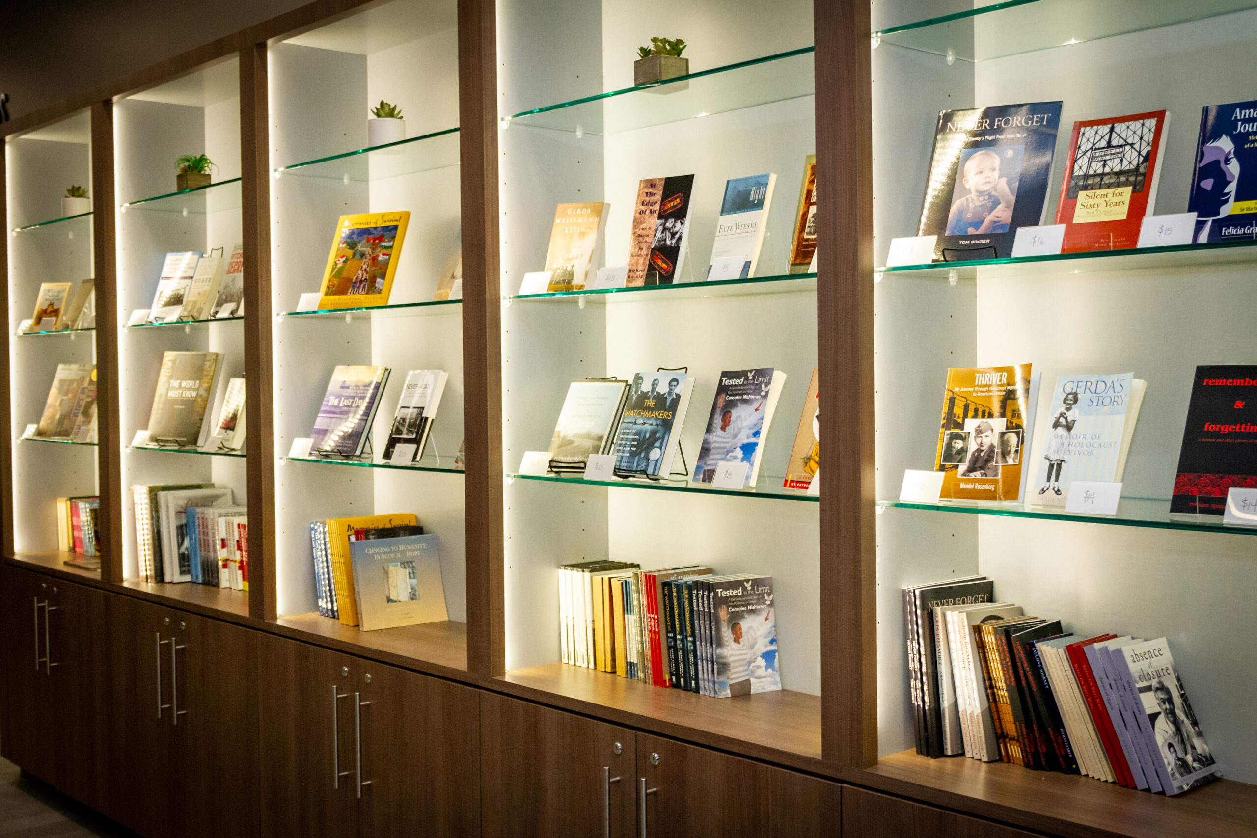 Virtual Classroom - Free Resources & Holocaust Videos | St. Louis ...